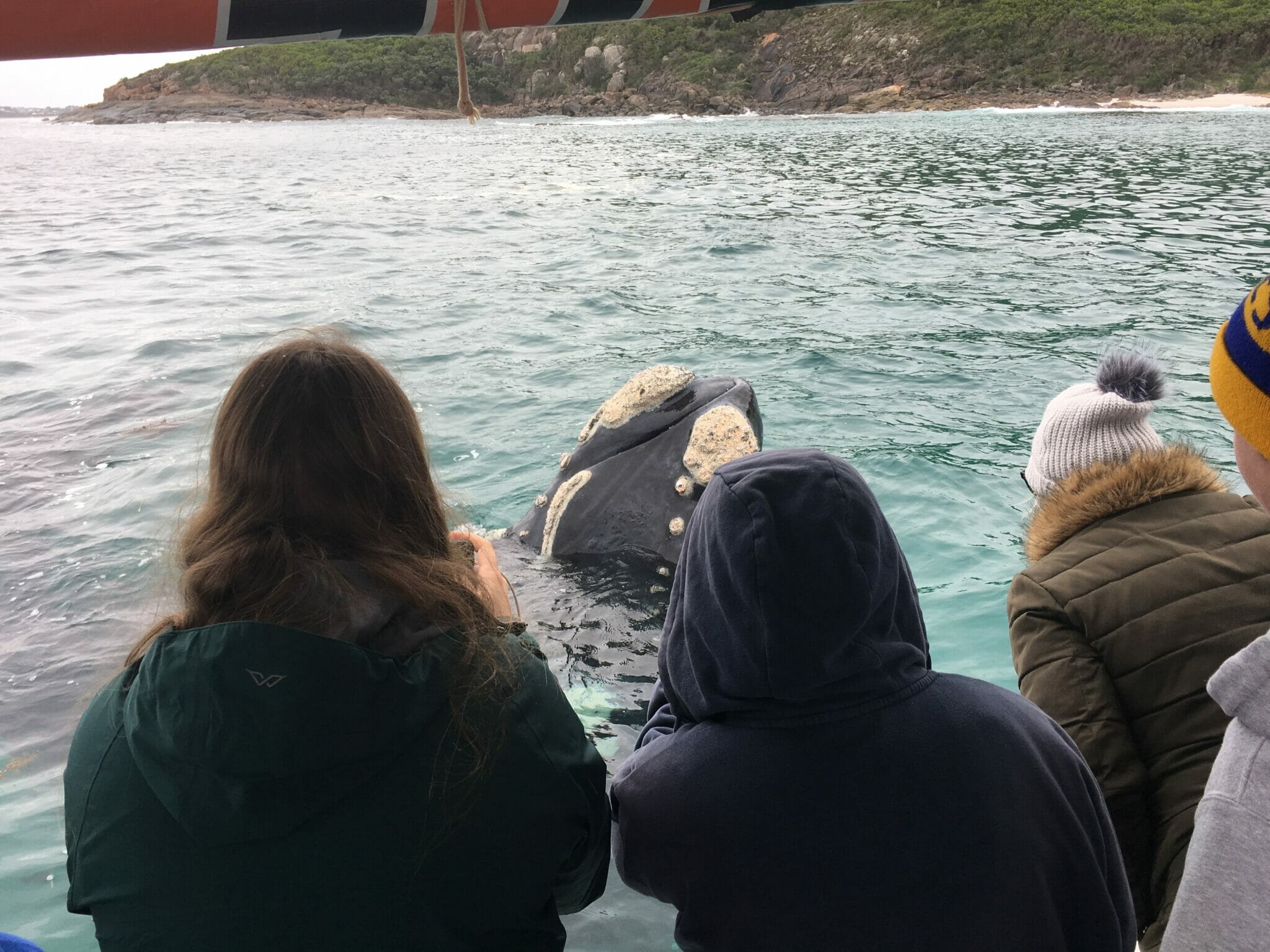 King George Sound Safari - Photo Gallery